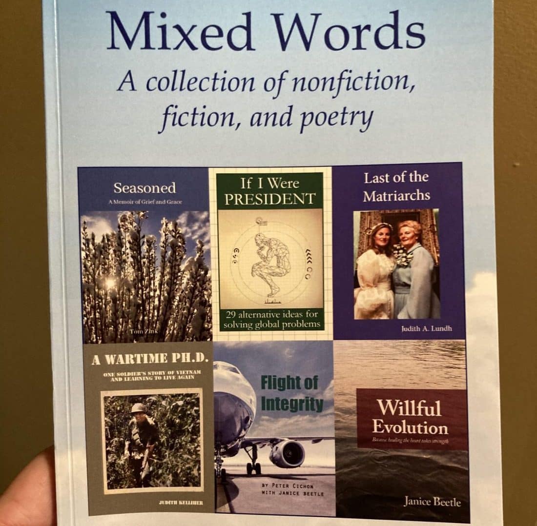 A Look at the Authors Featured in Mixed Words - Beetle Books