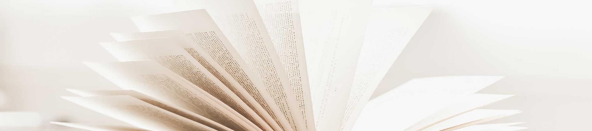 Book Writing, Book Editing, Book Development - Beetle Books